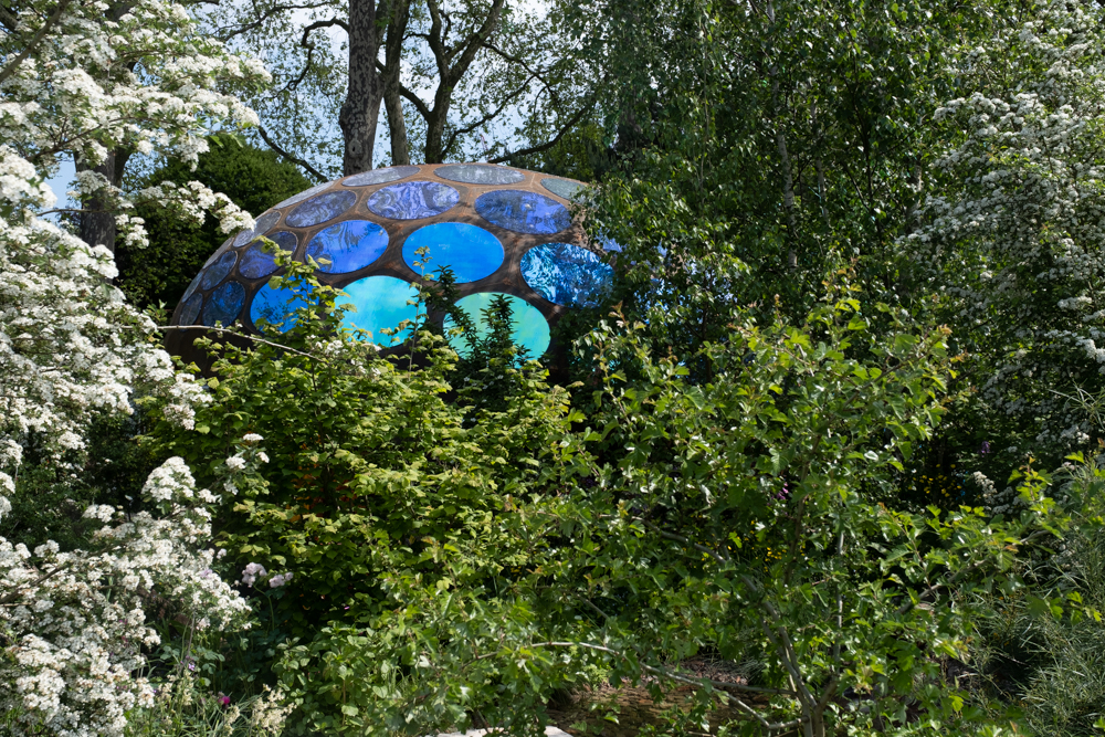 Star plants for an insect-rich garden: