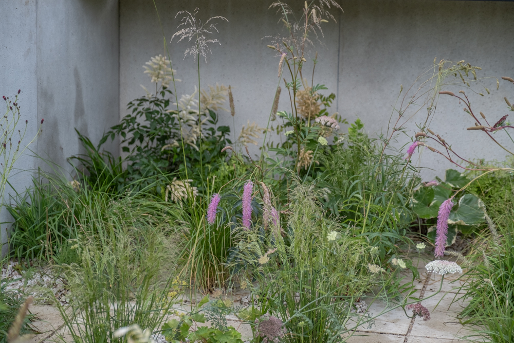 Plants featured in the garden are native to Korea, or commonly found in ...