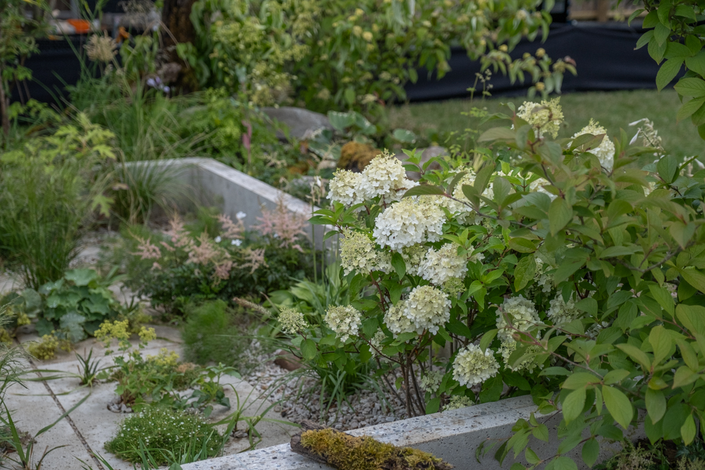 Plants featured in the garden are native to Korea, or commonly found in ...