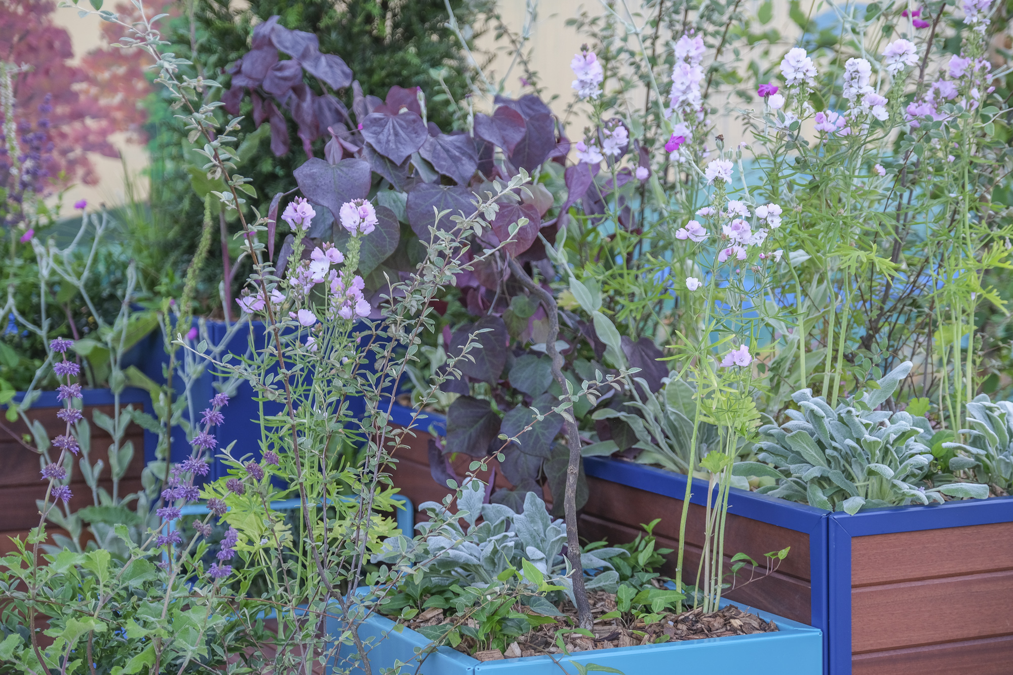 The separate gardens will be relocated to different areas in Surrey ...