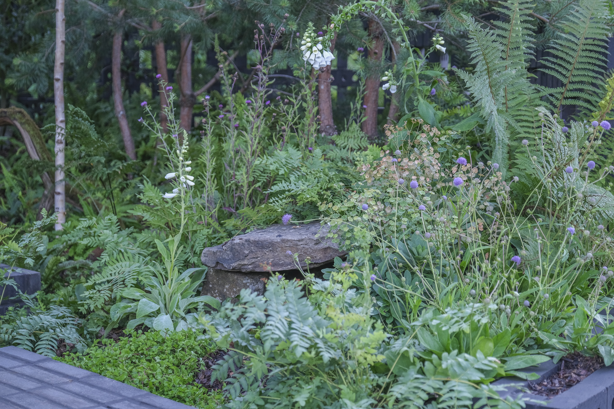 Rooted in sustainability, the garden avoids concrete entirely and ...